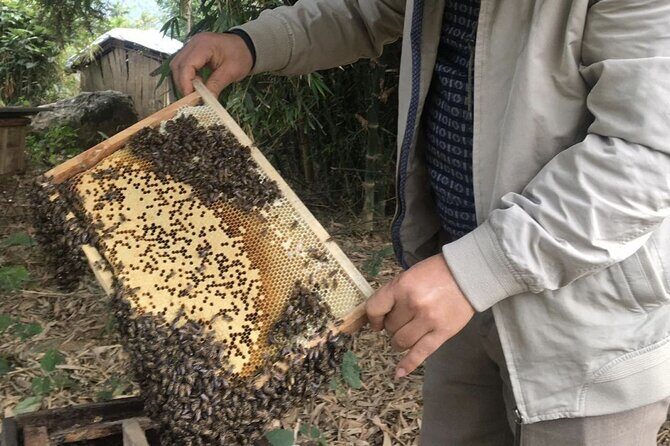 Tam Hiep Island Expedition: Unveiling the Mekong Delta's Treasure - FAQ