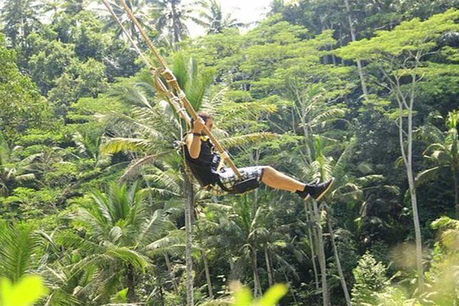 Taman Ayun Temple, Sangeh Monkey Forest, Swing included Transport & Lunch - Frequently Asked Questions