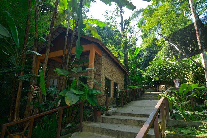 Taman Negara: 2 Days Small Group Tour Visit to Kuala Lumpur - Final Thoughts: Is It Worth It?