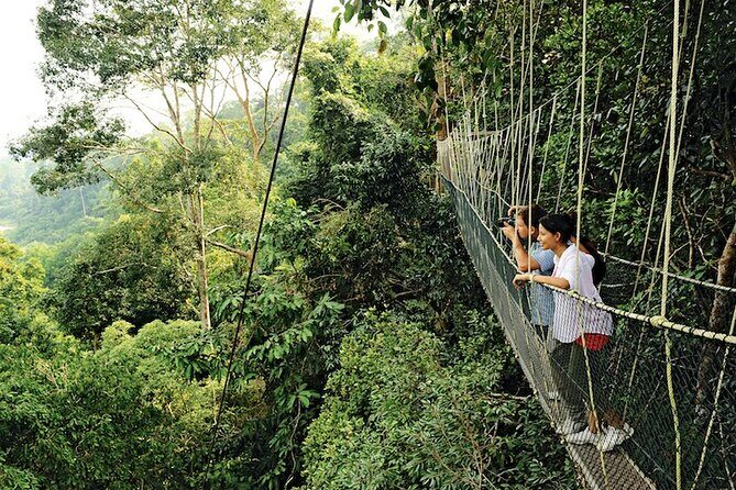 Taman Negara Rainforest Day Tour With Batu Caves Bonus Stop *25* - Transportation and Timing