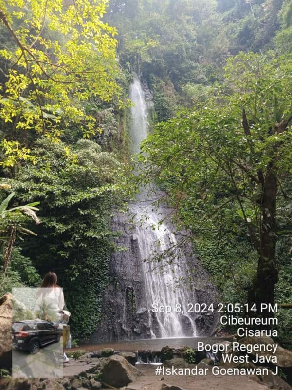 Taman Safari and Tea Plantation Tour at Puncak - Authentic Experiences and Traveler Feedback