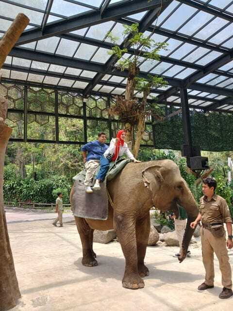 Taman Safari and Tea Plantation Tour at Puncak - Who Should Consider This Tour?