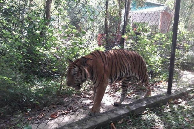 Tamao Mountain and Tonle Bati Private Day Trip from Phnom Penh - Key Points