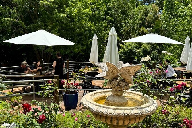 Tamborine Explorer from Brisbane - Setting the Scene: What Does the Tour Offer?