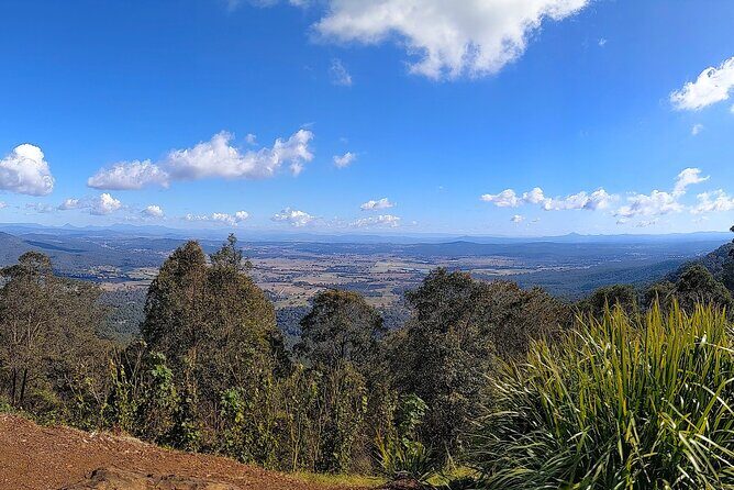 Tamborine Mountain and Paradise Point Tour from Brisbane - Who Is This Tour Best For?