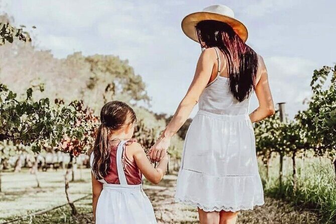 Tamborine Mountain - Hop On Hop Off - From Brisbane - Price and Value: Is It Worth It?