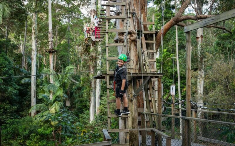 Tamborine Mountain: TreeTop Challenge Adrenaline Pass - A Detailed Look at the Itinerary