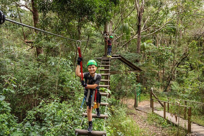 Tamborine Mountain TreeTop Challenge Adventure Park - A Detailed Look at the Tamborine Mountain TreeTop Challenge