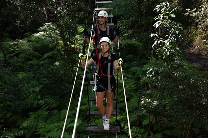 Tamborine Mountain TreeTop Challenge Adventure Park - Key Points