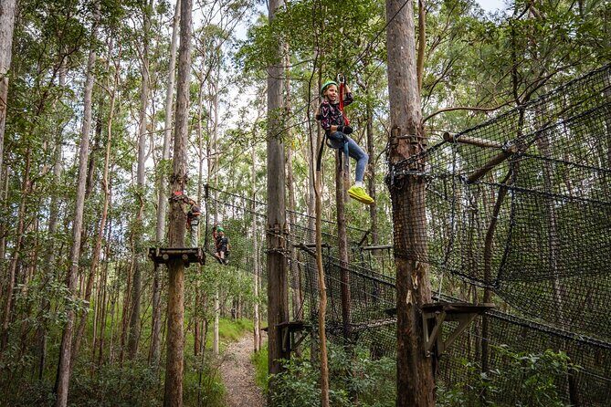 Tamborine Mountain TreeTop Challenge Adventure Park - What to Expect at Tamborine Mountain TreeTop Challenge