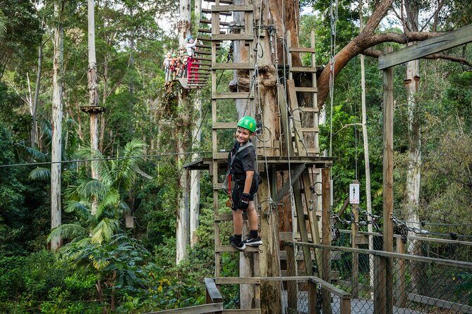 Tamborine Mountain TreeTop Challenge Adventure Park - Cost and Value