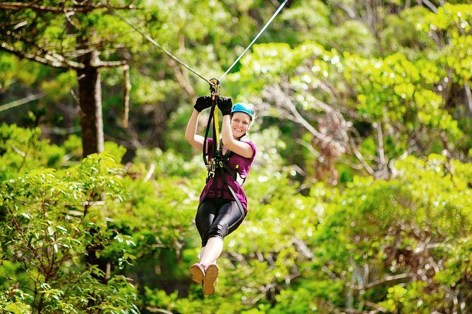 Tamborine Mountain TreeTop Challenge Adventure Park - The Sum Up