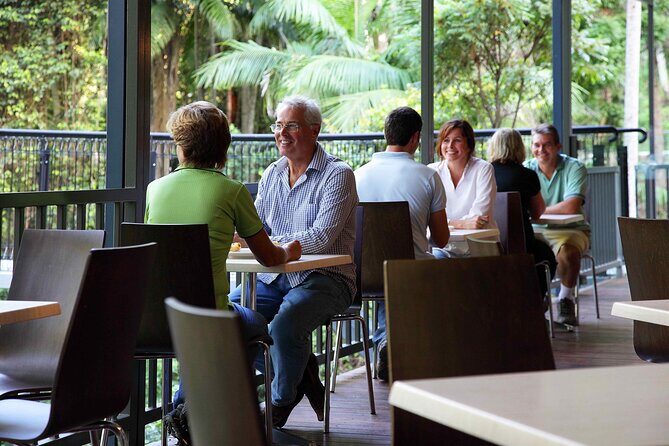 Tamborine Rainforest Skywalk + Hop on Hop off Bus - The Sum Up