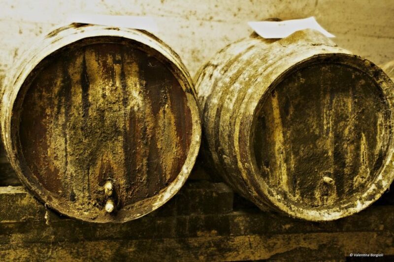 Tamburini Wine Tour and Tasting - The Itinerary in Detail
