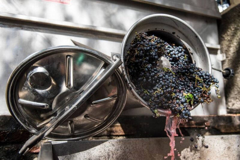 Tamburini Wine Tour and Tasting - FAQs