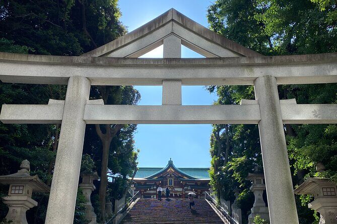 Tameike Exploring the Heart of Japanese Politics Tour - A Balanced Look at the Experience