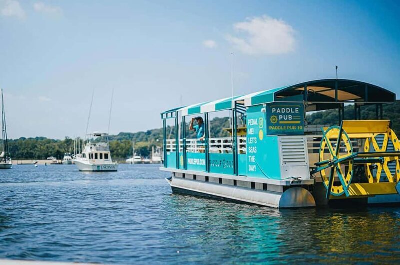 Tampa: 2 hour Paddle Pub River Cruise - The Itinerary and Highlights
