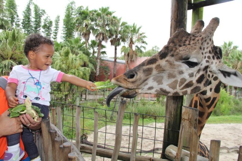 Tampa Bay CityPASS®: Save up to 55% at 5 Top Attractions - The Sum Up: Is the Tampa Bay CityPASS® Worth It?