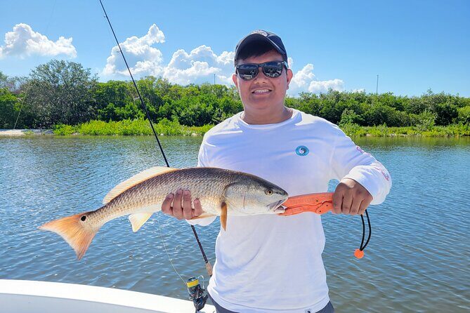 Tampa Bay Private Fishing Charter - An In-Depth Look at the Tampa Bay Private Fishing Experience