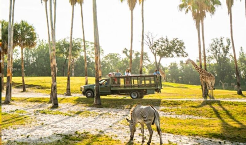 Tampa Bay: Serengeti Safari Tour - Exploring the Tampa Bay: Serengeti Safari Tour