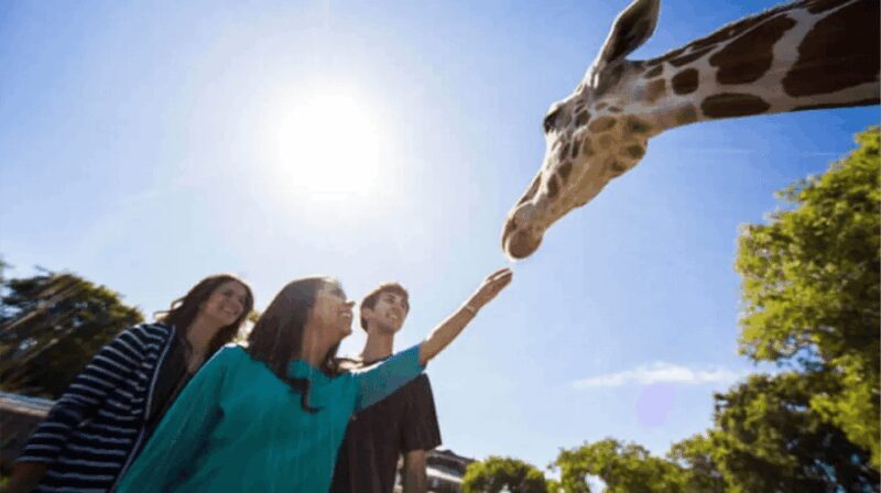 Tampa Bay: Serengeti Safari Tour - Authentic Feedback