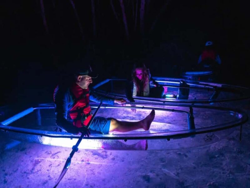 Tampa Bay: Shell Key Preserve Clear Kayak Tour - Who Will Love This Tour?