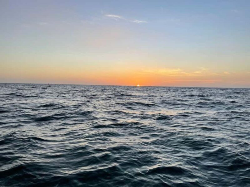 Tampa Bay: Sunset Cruise with Celebrity Homes and Wildlife - An Honest Look at the Tampa Bay Sunset Cruise