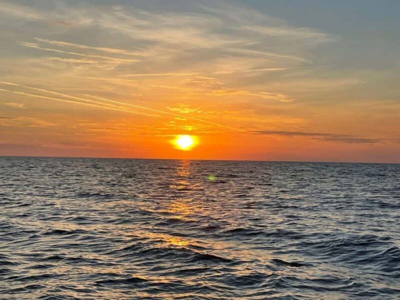 Tampa Bay: Sunset Cruise with Celebrity Homes and Wildlife - The Reviews: A Balanced Perspective