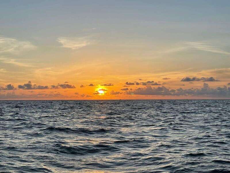 Tampa Bay: Sunset Cruise with Celebrity Homes and Wildlife - The Itinerary in Detail