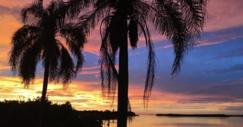 Tampa: Hillsborough River Evening Boat Tour Up to 13 people - Authentic Feedback from Past Travelers