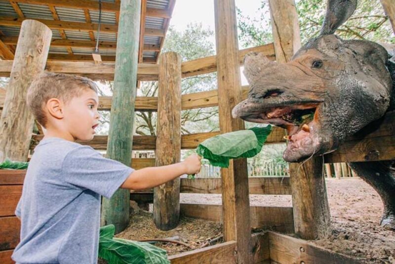 Tampa: ZooTampa at Lowry Park Entry Ticket - Who Will Get the Most Out Of This Visit?