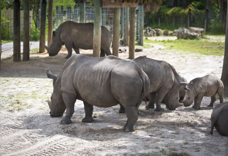 Tampa: ZooTampa at Lowry Park Entry Ticket - FAQs