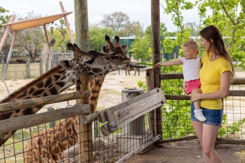 Tampa: ZooTampa at Lowry Park Ticket with After Hours Option - Tampa: ZooTampa at Lowry Park Ticket with After Hours Option
