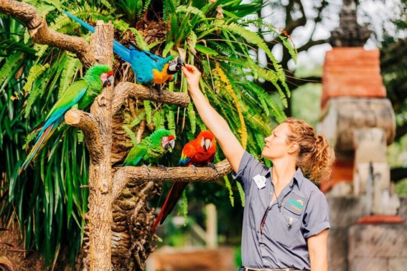 Tampa: ZooTampa at Lowry Park Ticket with After Hours Option - Why This Zoo Offers Great Value