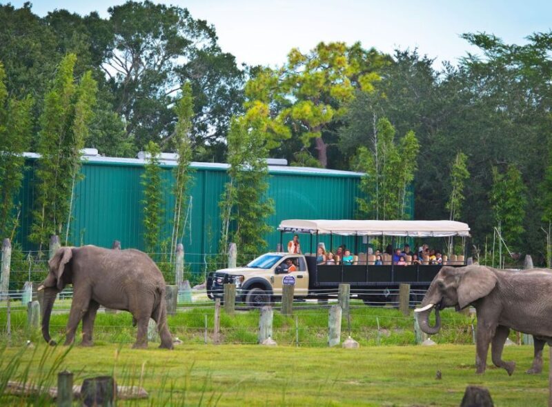 Tampa: ZooTampa at Lowry Park Ticket with After Hours Option - Who Will Love This Experience?