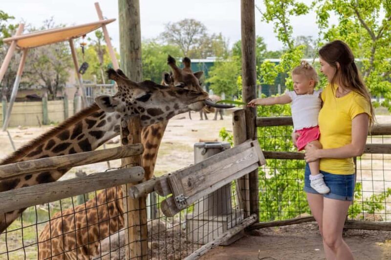 Tampa: ZooTampa at Lowry Park Ticket with Holiday Option - What to Expect from Your Visit to ZooTampa