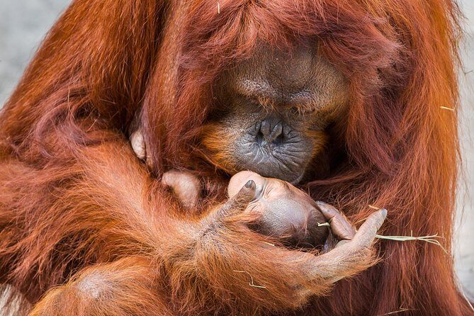 Tampa's ZooQuarium Admission - The Practical Side: Price, Value, and Tips