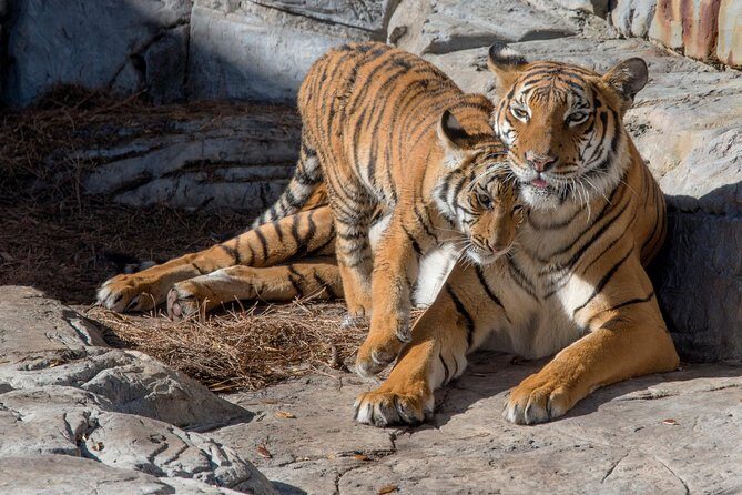 Tampa's ZooQuarium Admission - FAQs