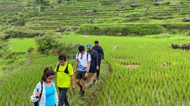 Tana Toraja: Explore Traditional Village and Nature Beauty - Key Points