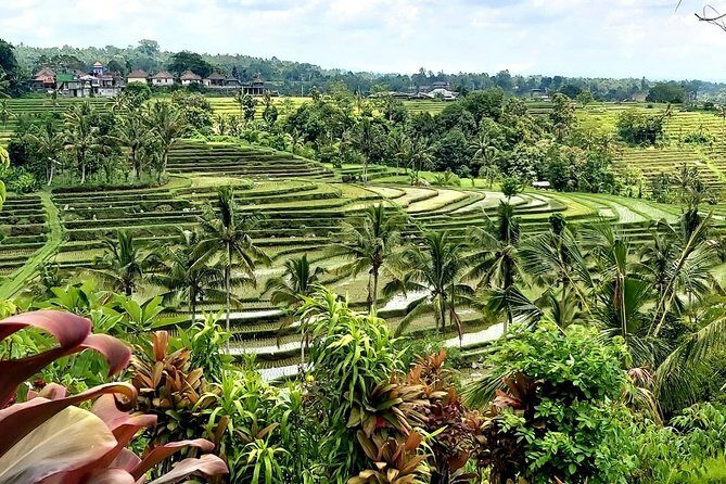 Tanah Lot and Jatiluwih Unesco Rice Terrace Private Tour - Authentic Experiences and Genuine Value