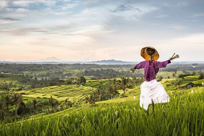 Tanah Lot, Jatiluwih Rice Terrace and Waterfall Day Tour - The Sum Up