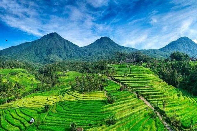 Tanah Lot - Jatiluwih (UNESCO) - Beratan lake -Hidden hill (Wanagiri)-FREE WI-FI - The Sum Up: Who Will Love This Tour?