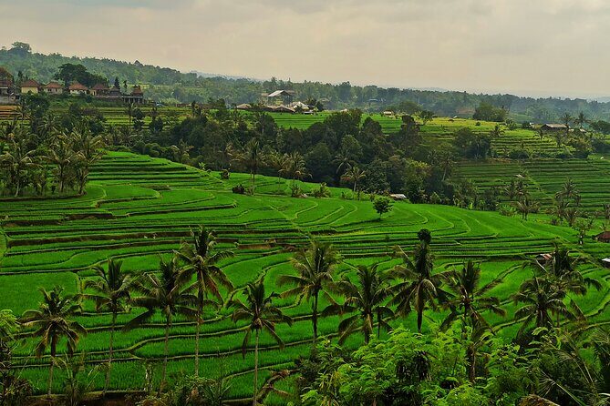 Tanah Lot Tour: Discover Balis Iconic Temple and Stunning Views - Authentic Experiences and Value