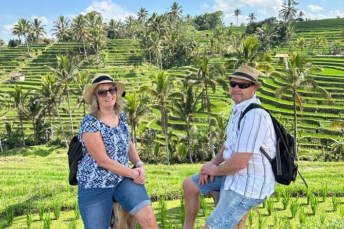 Tanah Lot Tour & North Bali Tour : All-Inclusive Best Experience - A Day in Bali’s Best: What to Expect from the Tour
