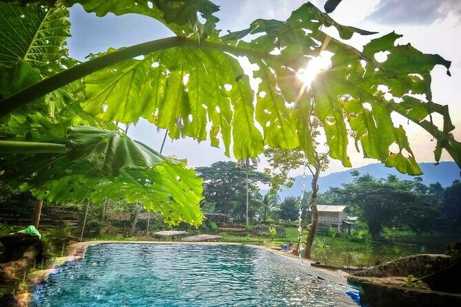 Tanay Nature Hiking Mountain Trekking Experience Near Manila - Considerations for Potential Participants