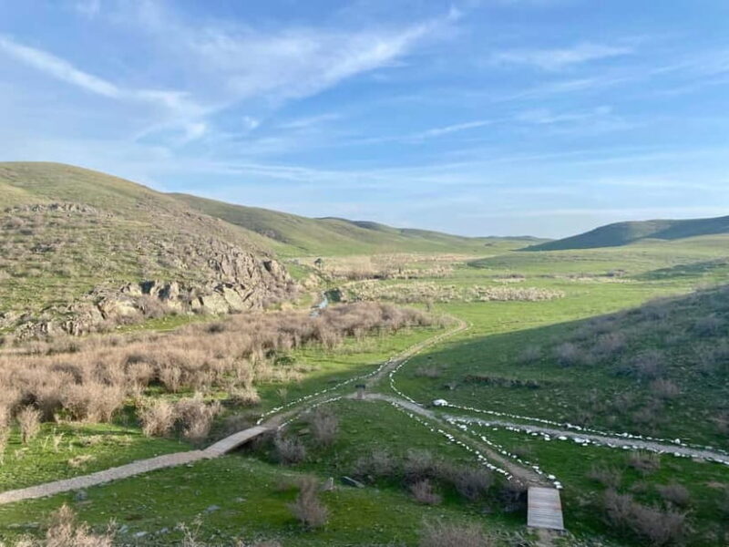 Tanbaly Gorge: Ancient Petroglyphs UNESCO Site Day Tour - Key Points