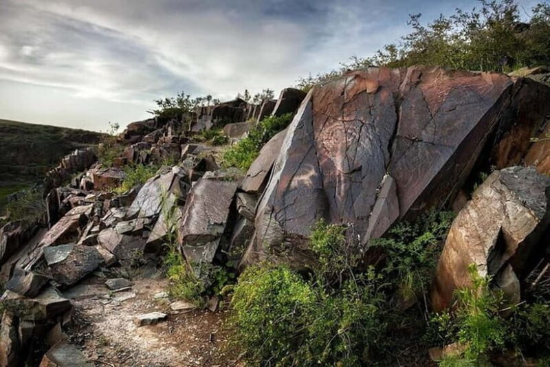 Tanbaly Gorge: Ancient Petroglyphs UNESCO Site Day Tour - Practical Details and Value