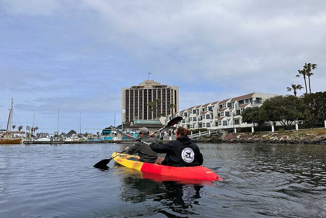 Tandem Kayak Rentals in Mission Bay - Value and Practicality