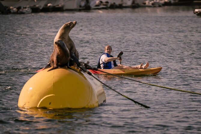 Tandem Kayak Rentals in Mission Bay - Who Will Love This Experience?