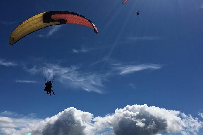 Tandem Paragliding over the Rugged Lava Fields at Blue Mountains - Practical Details That Matter
